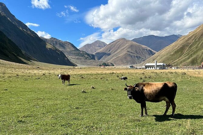 One-day tour to the Magnificent Kazbegi - Stops Along the Way