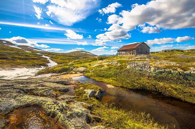 Oslo To Sognefjord Private Full Day Roundtrip Including Flam Railway - Logistics and Practicalities