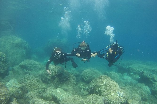 Padi Discover Scuba Diving - Who Should Consider This Tour?