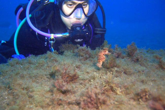PADI ReActivate, Refresh your scuba skills! - Authentic Reviews: A Glimpse of Real Experiences
