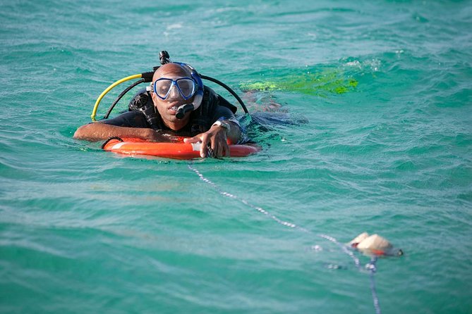PADI Rescue Diver Course in Gran Canaria - Reviews and Authentic Feedback
