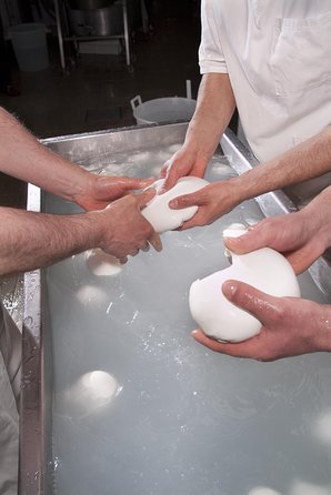 Paestum and Mozzarella Farm experience - Who is this tour best for?