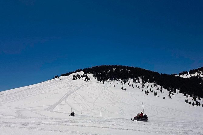 Pamporovo Ultimate Snowmobile Experience - The Experience: What You Can Expect