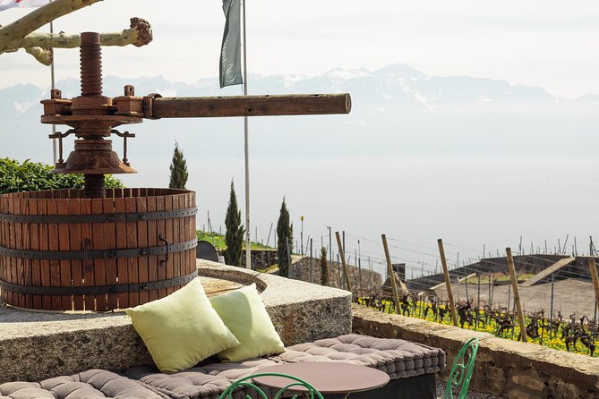 Panoramic Wine Tour From Lausanne - Scenic Beauty and Authenticity