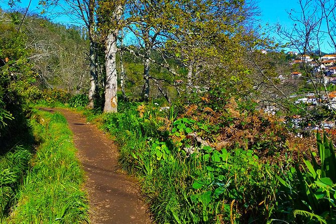 Paradise Valley - Levada Walk - Practical Tips for Participants