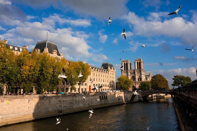 Paris Highlights Private Tour with Arc de Triomphe Skip the Line Ticket Access - Who Will Love This Tour?