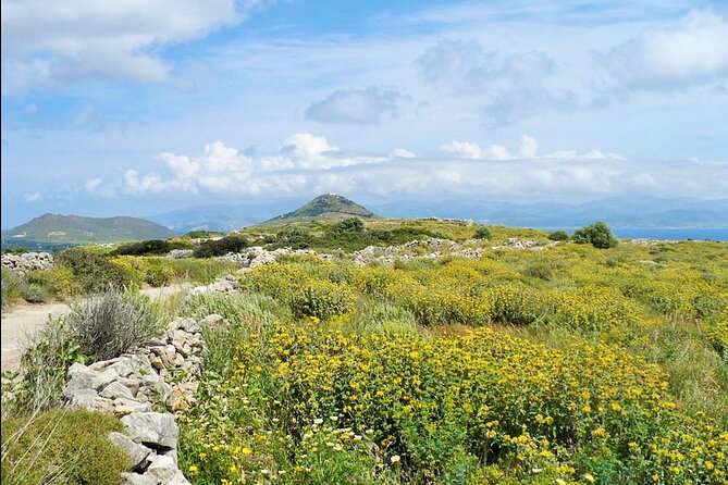 Paros Byzantine Path Ancient Greek Route Hiking Experience - Value and Price Analysis