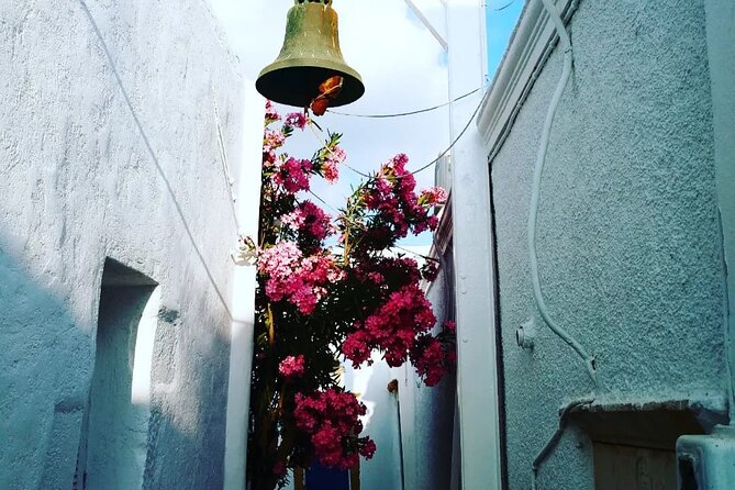 Paros private tour exploring the beaches - Frequently Asked Questions (FAQs)