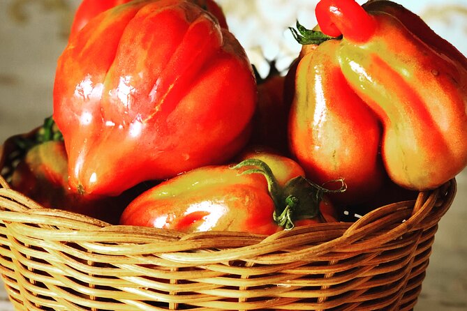 Pasta and Pizza cooking class in Cortona - The Sum Up