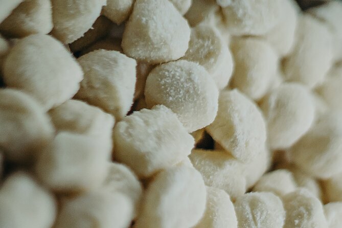 Pasta Fresca Gnocchi and Ravioli a Napoli - Final Thoughts