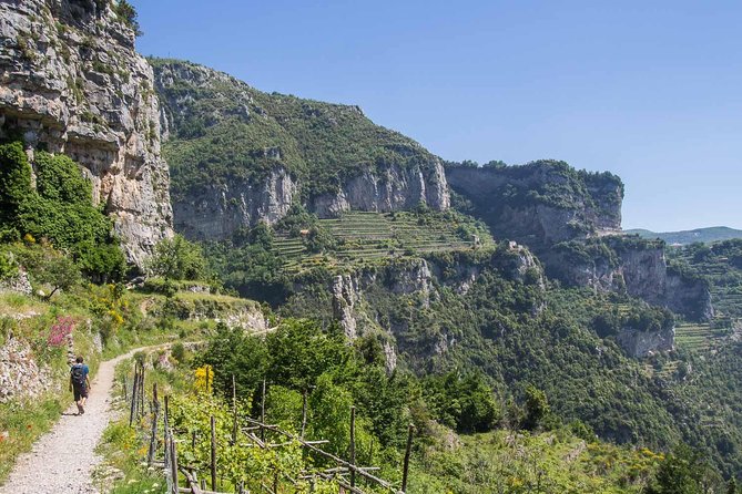 Path of the gods with Enzo - along the Amalfi coast - What Makes This Tour Stand Out?