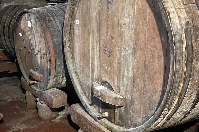 Peljeac - Wine, Oysters and Food Experience from Dubrovnik - Final Thoughts