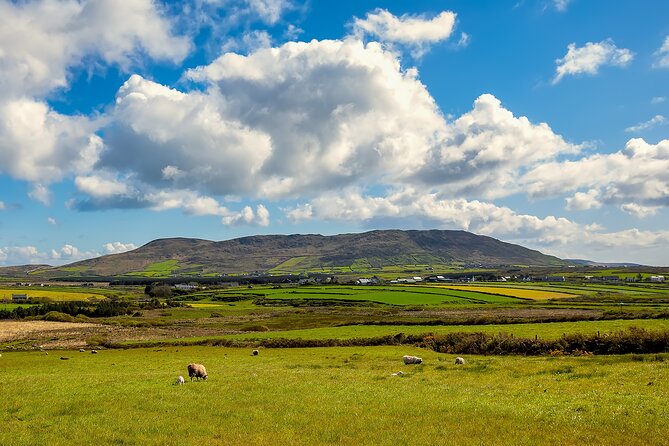 Personalized Full-Day Dingle Peninsula and Slea Head Drive Tour - Final Thoughts: Who Should Consider This Tour?