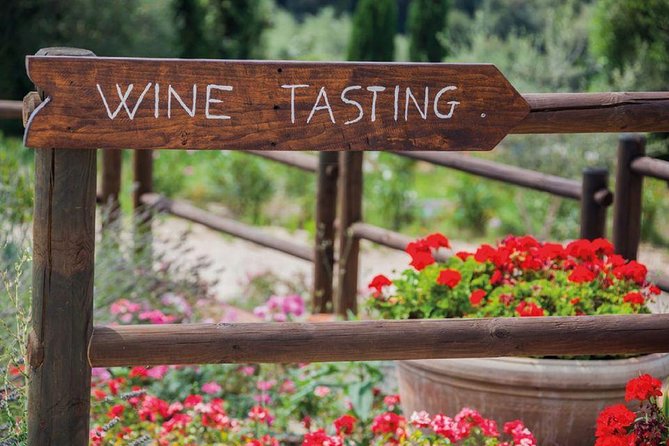 Piedmont Wine Tasting Tours Experience, Italy - Practical Details and What to Expect