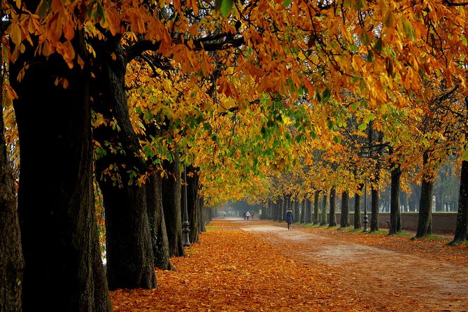 Pisa and Lucca Shore Excursion from La Spezia Port - The Reviews: What Past Travelers Say