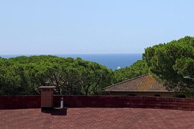 Pisa/Florence Airport Pick-up/Drop-off to Castiglioncello - The Sum Up: Is It Worth It?
