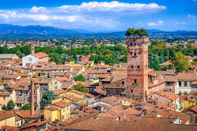 Pitti Palace, Boboli and Bardini gardens Tour with a local Guide - Final Thoughts