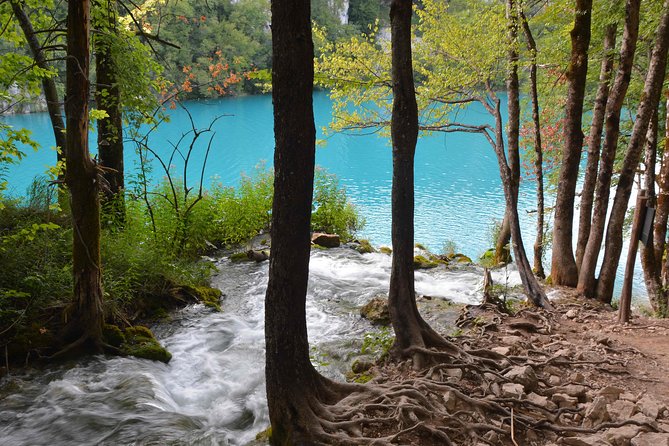 Plitvice Lakes National Park Tour from Zadar - The Group Experience: Pros and Cons