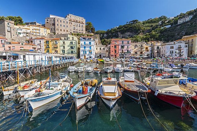 Pompeii and Amalfi Coast Day Trip from Rome - Who Is This Tour Best Suited For?
