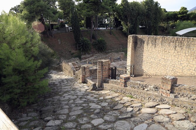 Pompeii Day Tour - Who Will Appreciate This Tour?