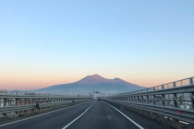 Pompeii, Herculaneum and Vesuvius Private Guided Tour - Moving to Herculaneum: An Intimate and Well-Preserved Site