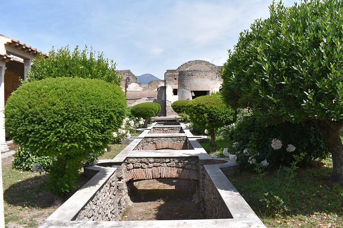 Pompeii Must-See Attractions Guided Tour with Skip-the-Line Access - The Sum Up