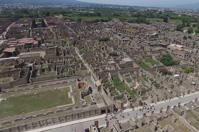 Pompeii Ruins Excursion for 3 hours (round-trip included) - Authentic Experiences and Traveler Reviews