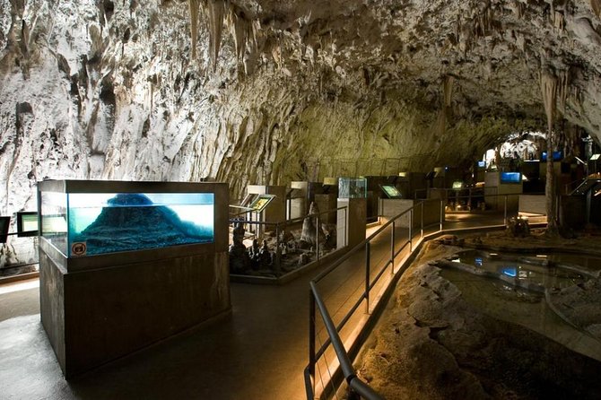 Postojna Cave & Predjama Castle - Small Group Tour from Trieste - What Could Be Improved