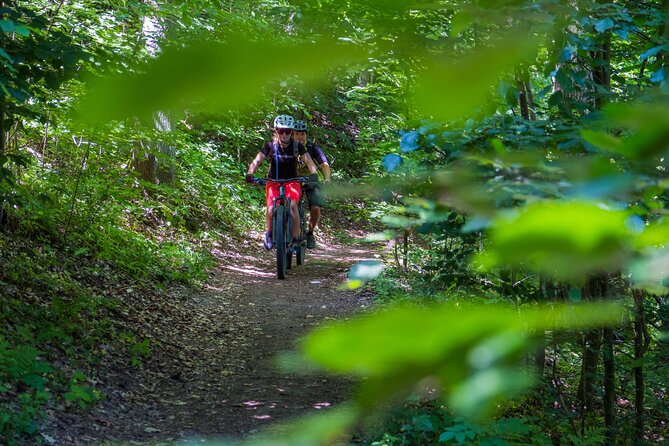 Prague E-Mountain Biking Adventure In The Bohemian Paradise - Who Should Consider This Tour?
