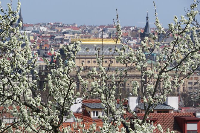 Prague Literary & Historical Tours - Literature Route - The Practicalities