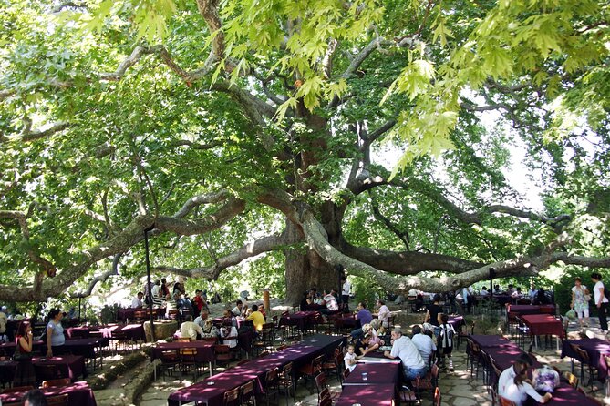 Premium Bursa and Uludag Tour - (Breakfast-Lunch Included) - Who Will Love This Tour?