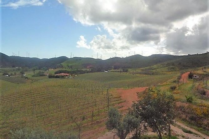 Premium gastronomic mountain tour: Wine, olive oil, spirits, food - Who Will Love This Tour?