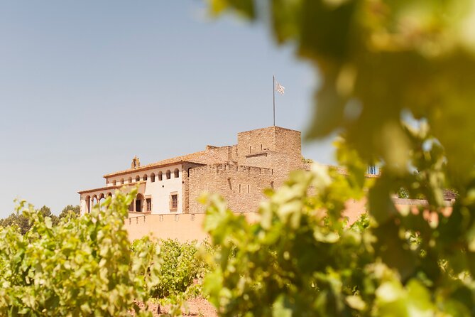 Premium Montserrat & Wine Full Day Tour from Barcelona - Lunch and Winery Visit: A Taste of Catalan Culture