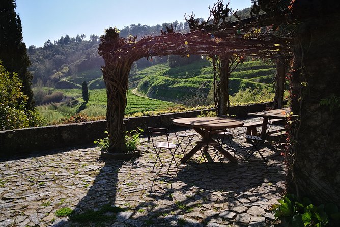 Premium Private Douro & Vinho Verde Tour: Wine Tastings & Lunch - Who Should Consider This Tour?