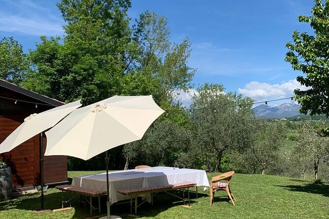 Premium Private Prosecco Hills Tour - 2 Wineries. Private tour. - Who This Tour Suits Best