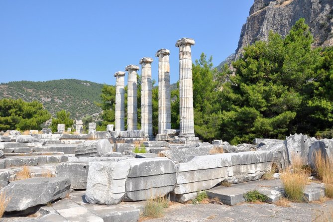 Priene Miletos Didyma Tour From Kusadasi / Selcuk Hotels - What the Reviews Say