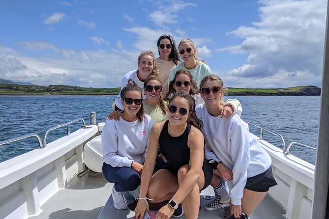 Private 1-Hour Guided Boat Tour in Dingle Peninsula - Booking and Practicalities