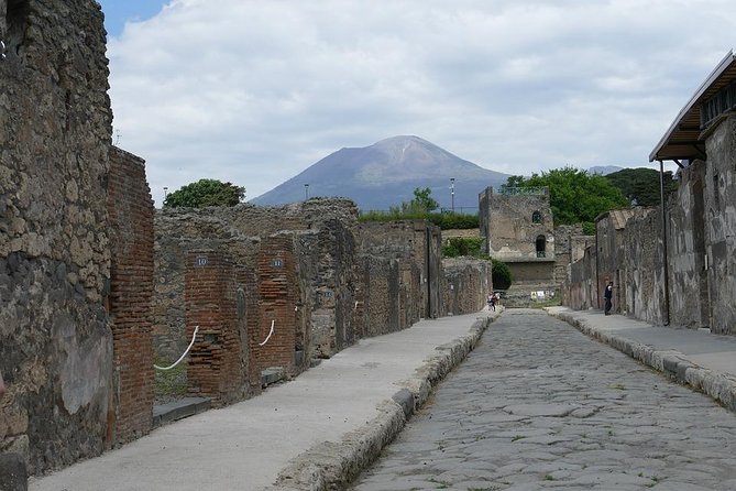 Private 6h Tour to Pompei and Ercolano with Port or Hotel pick-up - The Cost and the Experience