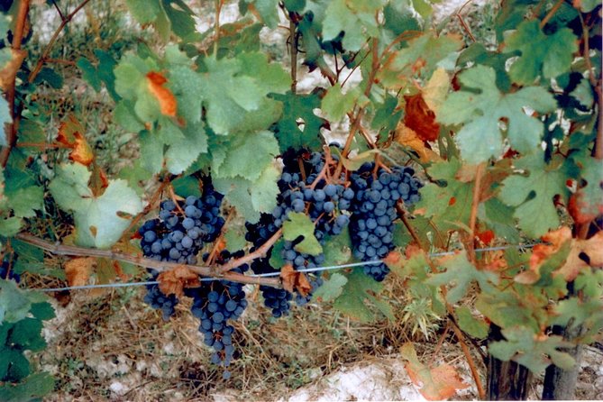 Private 7-Hour Tour of Three Etna Wineries with Tasting from Syracuse - Transportation and Comfort
