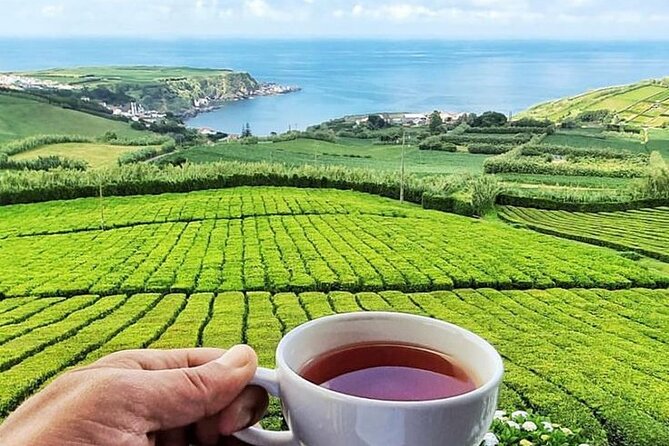 Private - All of Furnas, Tea Plantation, ticket to Beija included - Who Is This Tour Best For?