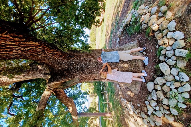 Private and Guided Day Visit to Beautiful Tuscany from Rome - The Checche Oak Tree: Energy and Tradition