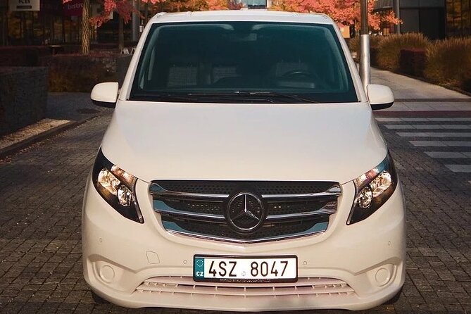 Private ARRIVAL Transfer by MINIVAN Mercedes Vito 8+1pax - Who Should Consider This Service?