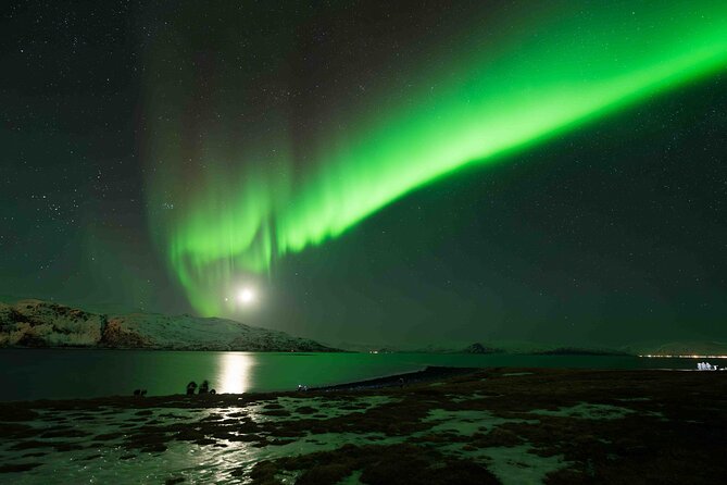Private Aurora Hunting with Professional Photographer from Alta - Price and Value — Is It Worth It?