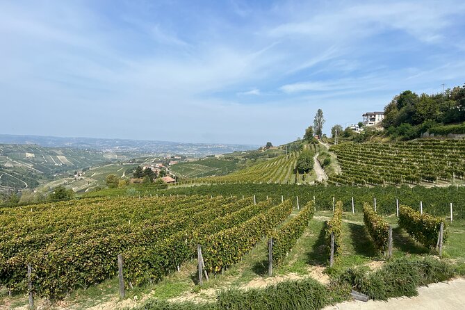 Private Barolo Wine Tour with Winemaker from Turin - Final Takeaways