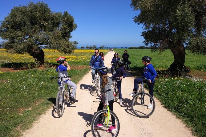 Private Bike Tour with Olive Oil Tasting - Practical Details and Value for Money
