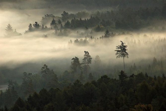 Private Bohemian Paradise national park luxury tour All-Inclusive - Who Will Love This Tour?
