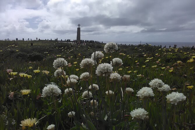 Private Chilled Daytrip to Sintra - Authentic Experiences and Honest Insights from Other Travelers
