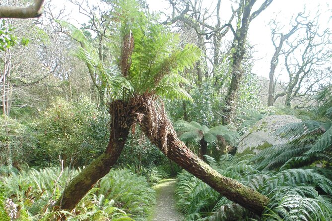 Private Day Tour from the Centre to the Highest Point in Sintra. - FAQ