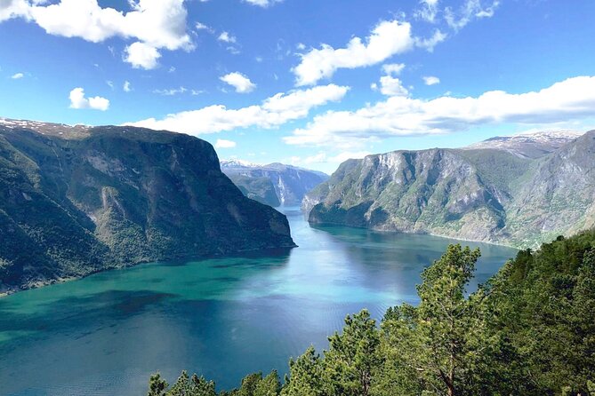 Private Day Tour Nærøyfjord Cruise, Viking Village, Flåm Railway - FAQ
