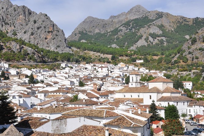 *Private Day Trip* from Cádiz: The White Towns of Andalusia - What Travelers Say